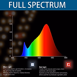 Barrina Grow Lights for Indoor Plants, Full Spectrum Sunlight, 1ft Plant Growing Lamp, LED Grow Light Bulbs, T5 Grow Light Strip, Plug and Play, Yellow, 4-Pack