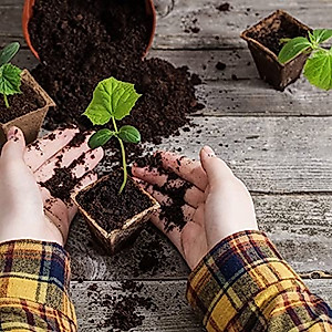 EHWINE Peat Pots, 100 Pack 3.15 Inch Square Seed Starter Tray Seedling Pots Organic Peat Pots for Seedlings Seed Starter Pots Kit Seedling Trays, Bonus 100 Pcs Plant Labels