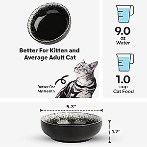 Ceramic Cat Bowls, Toptier Cat Bowls Cat Dishes for Food and Water, Shallow Cat Food Bowls Pet Dishes for Cats, Kittens, and Small Animals, Set of 2, Black and White