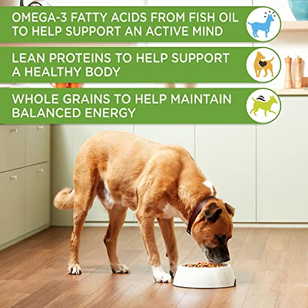 Rachael Ray Nutrish Chunks in Gravy Wet Dog Food Real Chicken & Veggies Recipe, 13 Ounce (Pack of 12)