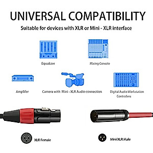 JOMLEY Mini XLR to XLR Cable,XLR Female to Mini XLR Male Microphone Audio Cable for Blackmagic Pocket 4K Camera Video Assist 4K - 3ft