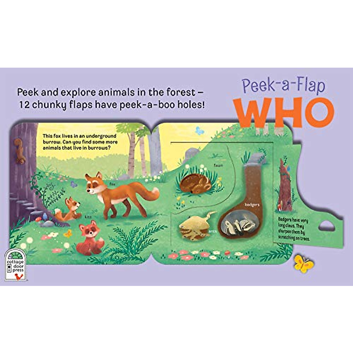 Who: Peek-a-Flap Board Book