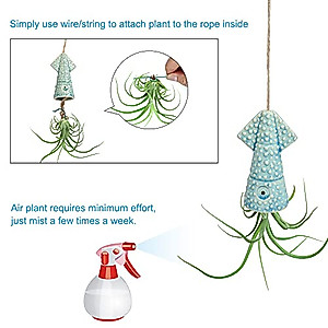 Mimeela 4 Pack Air Plant Holder Unique, Cute Squid Air Plant Hanger Wall Planter, Ceramic Tillandsia Airplants Holders Hanging Wall Decor for Home Office (Squid-Small (1.6 x 3.6 in))