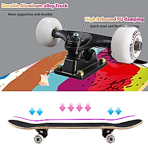 ANDRIMAX Skateboards-Complete Skateboards for Beginners Kids Boys Girls Adults Youth-Standard Skateboards 31’’x8’’ with 7 Lays Maple Deck Pro Skateboards, Longboard Skate Boards (Graffiti)