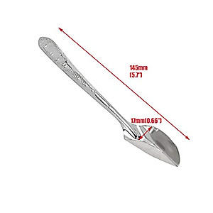 Quluxe 5 Pcs Bird Parrot Stainless Steel Metal Feeding Spoon, Special Feeding Scoop Medicine Spoons Hand Feeding Spoons for Peony Cockatiel Parrot