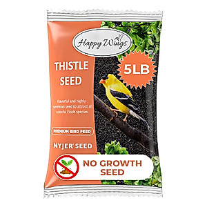Happy Wings Nyjer/Thistle Seeds Wild Bird Food - 5 Pounds I No Grow Seed I Bird Seed for Wild Birds