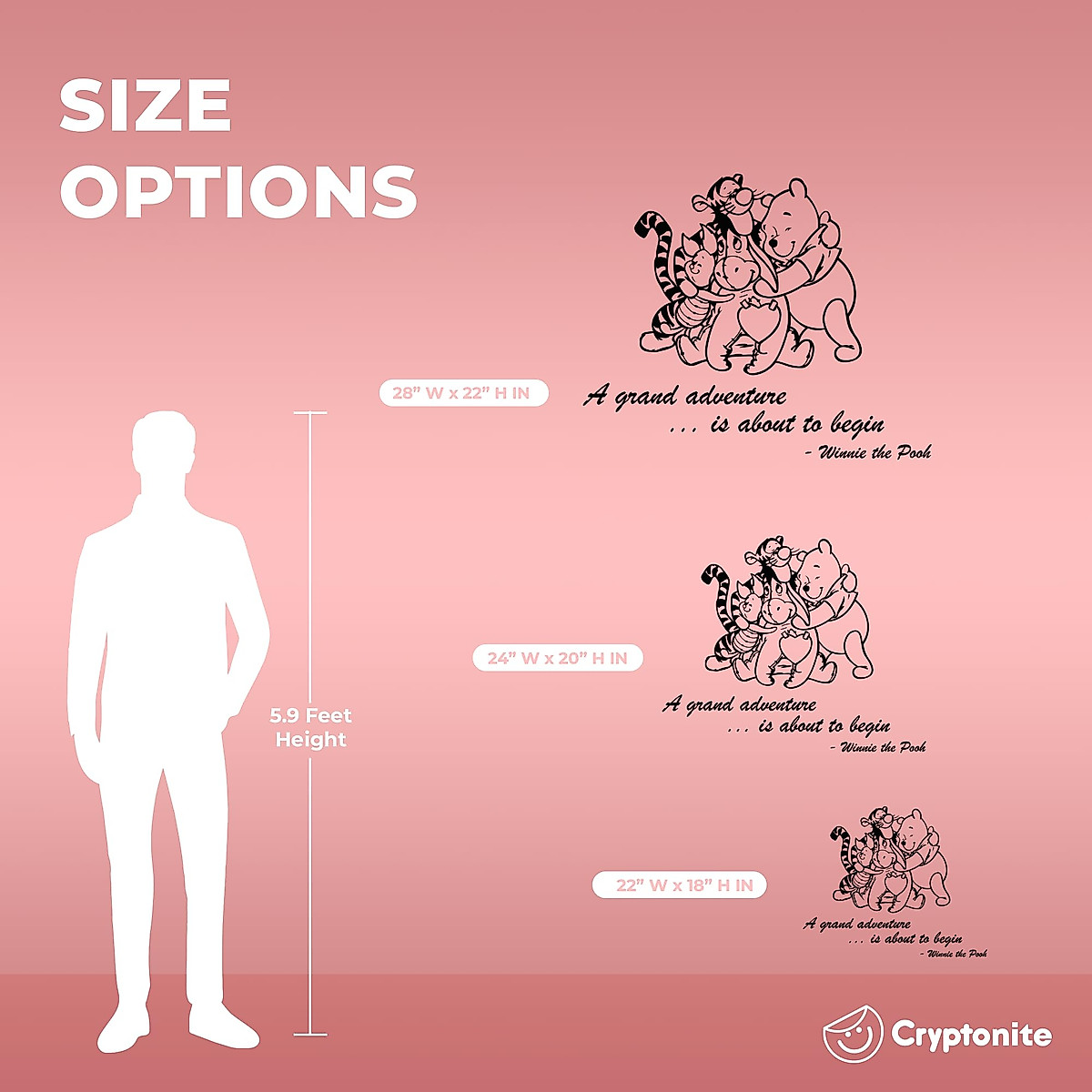 Winnie Pooh & Friends - A Grand Adventure is About to Begin Quote Baby Room Wall Decal- Decal for Baby's Room (Wide 22" x 18" Height)