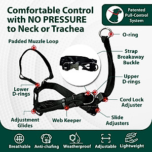 Sporn YUP! Pet Head Halter, Medium, Black, (33571)