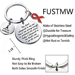 FUSTMW Stroke Awareness Keychain Stroke Warrior Gifts I Am The Storm Stroke Survivor Jewelry Recovery Gifts Red Ribbon Cancer Inspirational Gifts (silver)