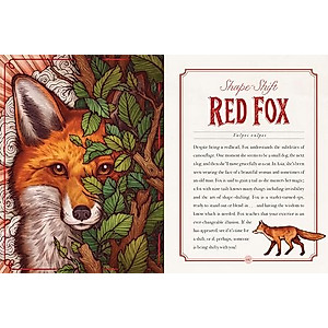 The Illustrated Bestiary: Guidance and Rituals from 36 Inspiring Animals (Wild Wisdom)