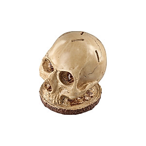 Skull Knife Holder for Kitchen,Skull Ornaments Kitchen Knife Storage Resin Knife Stand Personalized Skeleton Knife Rack Party Fruit Storage Rack Decoration