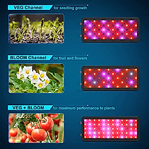 Phlizon Upgraded 600W LED Plant Grow Light with SMD LEDs Full Spectrum Plants Light Double Switch Grow Led for Indoor Plants Veg and Flower- 600W (600W)