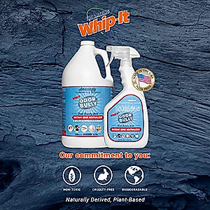 Whip-It Odor Bully Instant Odor Neutralizer Spray - Stain Remover and Odor Eliminator for Home and Car in One - Gallon and 32oz Spray