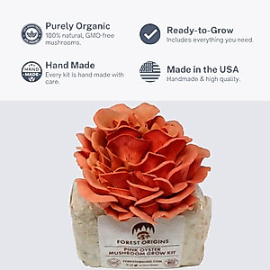 Forest Origins Pink Oyster Mushroom Grow Kit, Beginner Friendly & Easy to Use, Grows in 10 Days | Handmade in California, USA | Top Gardening Gift, Holiday Gift & Unique Gift