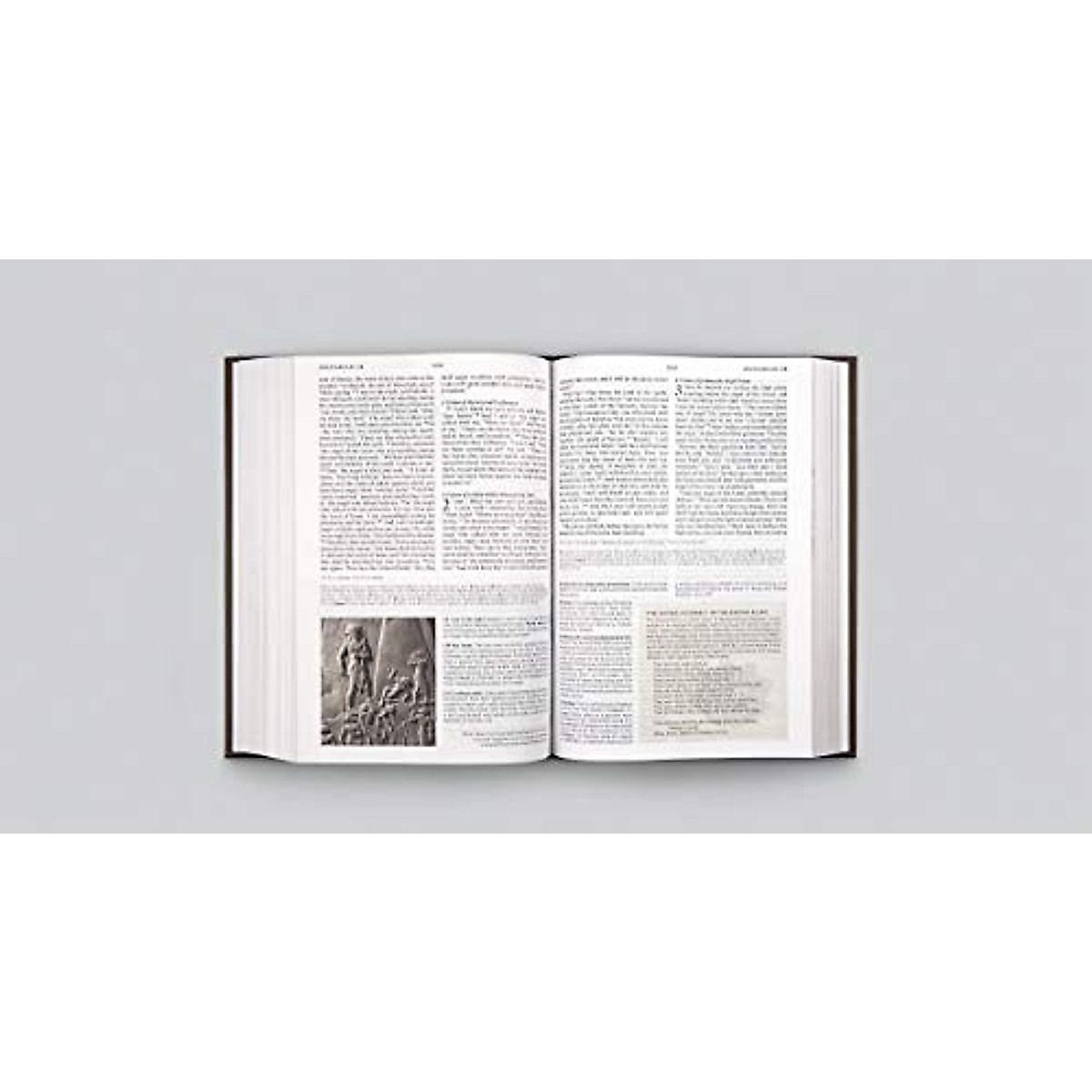 ESV Archaeology Study Bible