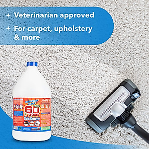 Amazing 60 Second Stain Remover - Commercial Strength - Powerful, Natural Enzymes Remove Food, Grease, Pet Stains & More - Non-Toxic/Eco Friendly - USA Made (128oz Bottle - Save 50%)