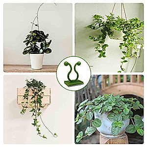 Lasyman Plant Clips-Plant Climbing Wall Fixture Clips 110PCS, Invisible Clips for Climbing Plants，Self-Adhesive Plant Wall Clips for Plant Support, Sticky Plant Fixture Clips Plant Holder for Pothos