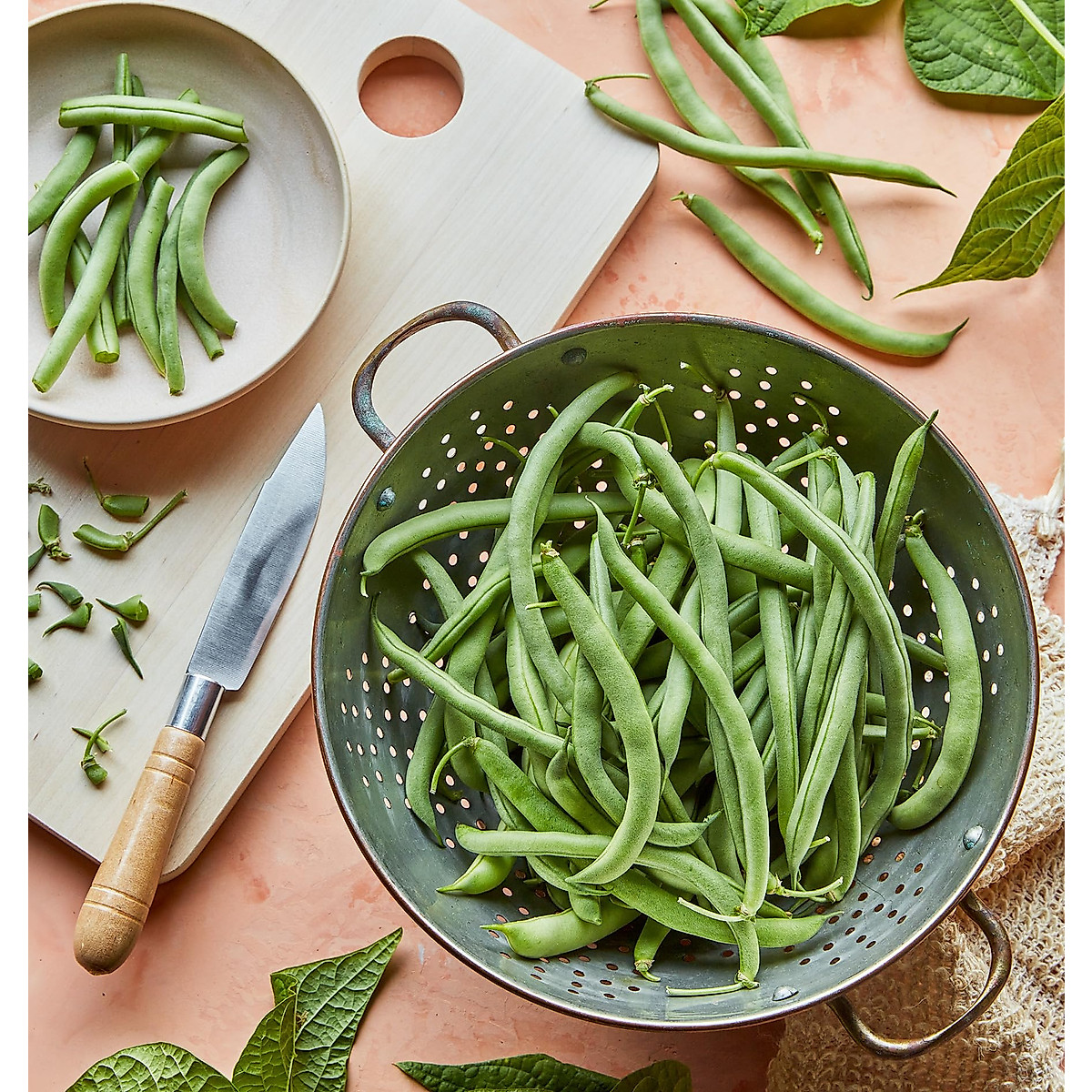 Burpee Blue Lake 47 Bush Bean Seeds 8 ounces of seed