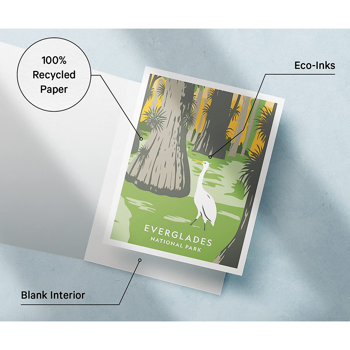 Twigs Paper - Assorted Art National Parks Greeting Cards - Stationery Cards with Envelopes - Thank You and Blank Note Cards - Greeting Cards for All Occasions - Made in USA (5.5 x 4.25, Set of 12)