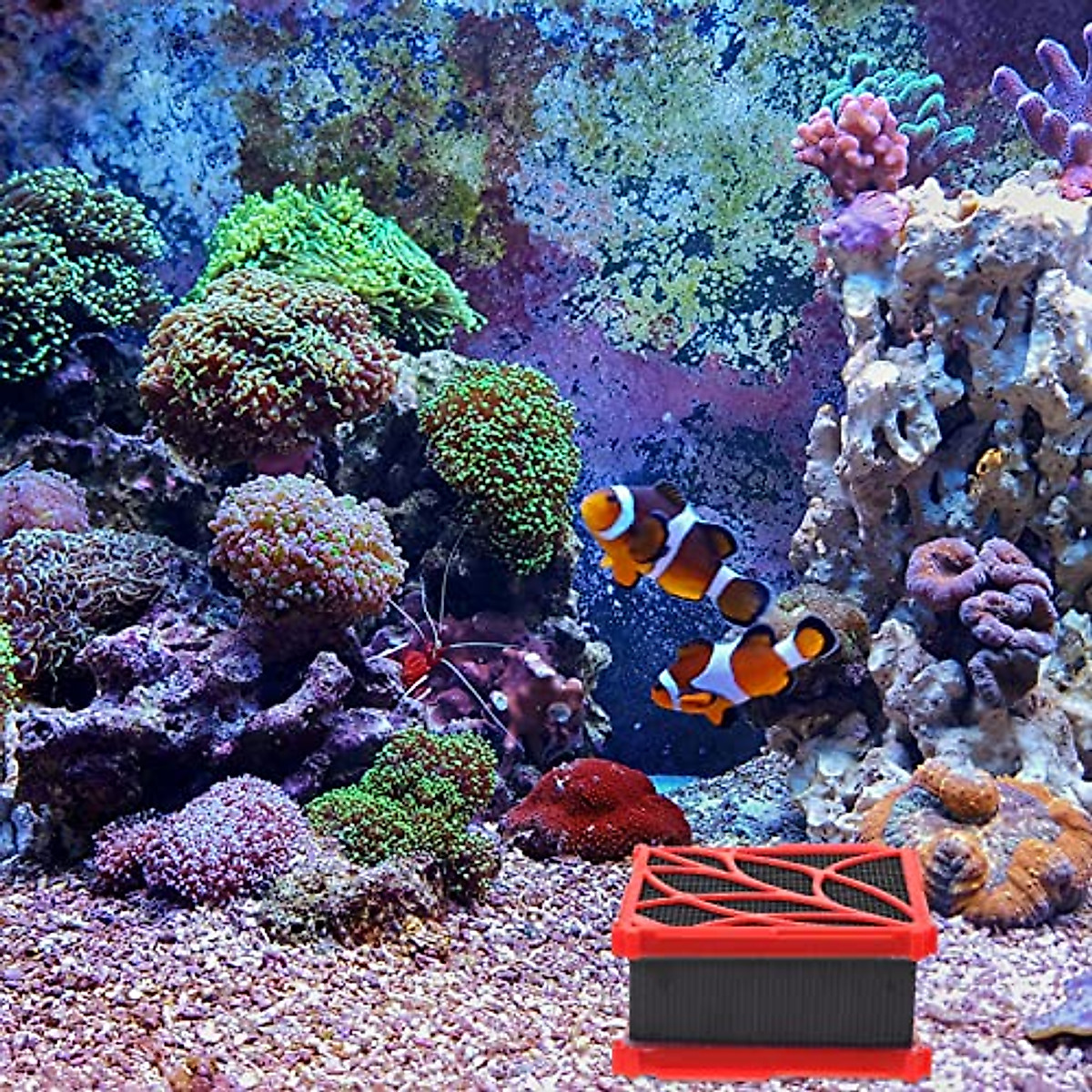 1pc Filter Charcoal Tool for Cleaner Home Pond Absorption Ponds Accessory Cube: Honeycomb Cubes Odor Purifier Carbon Use Purifying Tank Aquarium Remover Fish Water