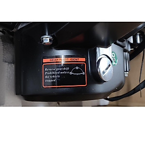 X-PRO 125cc 4-Stroke ATV Gokart Engine with Automatic Transmission with Reverse, Electric Start