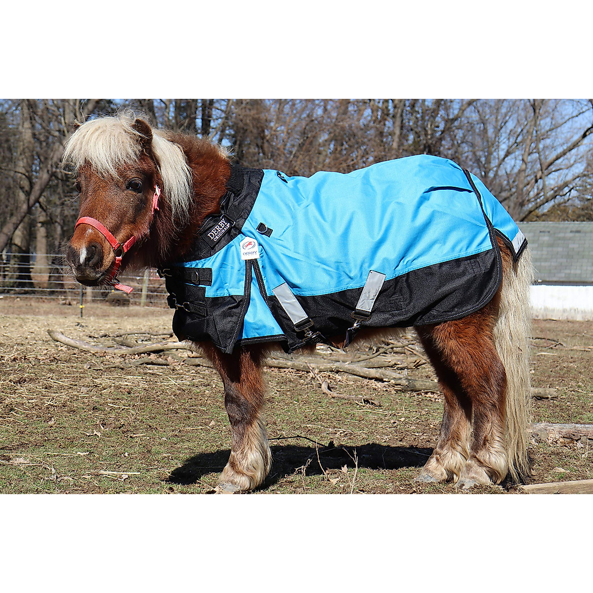 Derby Originals Nordic Tough 1200D Ripstop Waterproof Reflective All Season Mini Horse Pony Turnout Rain Sheet, Electric Blue, 48"