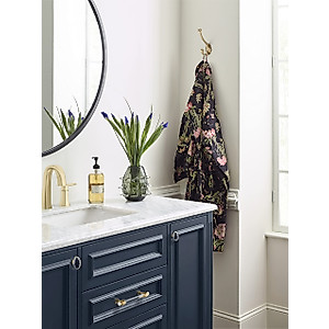 Amerock | Pilltop Coat Hook | Wall Mount | Oil Rubbed Bronze | 1 Pack | Robe Hook | Towel Hook | Entryway Hook | Bathroom Hook