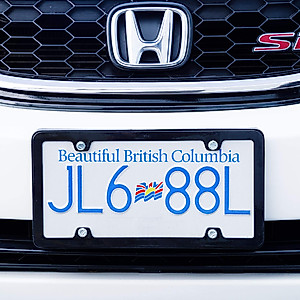 Au-ve-co 1000 Bulk Zinc Plated License Plate TAG Screws Hex Head Car Dealer Lot Self