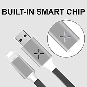 WSGP iPhone Compatible, Voice Control Light Up Charging Cable, 3.3ft Fast Charing High Speed Data Sync Transfer Cord, fit for iPhone 13 12 11 X XS XR, AirPods Pro (White)