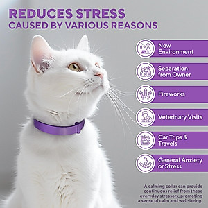 Cat Calming Collar & Pet Anti Anxiety Products - Feline Calm Pheromones Collars & Cats Stress Relief - Relaxivet Comfort Helps with Pee, New Zone, Aggression, Fighting with Dogs & Other Behavior