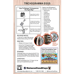 Trichogramma 100,000 Eggs Natures Good Guys