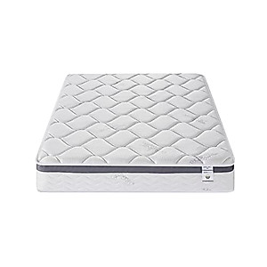 Queen Size Mattress - 10 Inch Cool Memory Foam & Spring Hybrid Mattress with Breathable Cover -Comfort Plush Euro Pillow Top - Rolled in a Box - Oliver & Smith