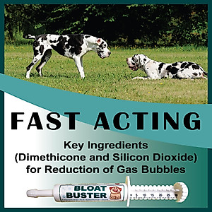 Dogzymes Bloat Buster Paste (30cc)