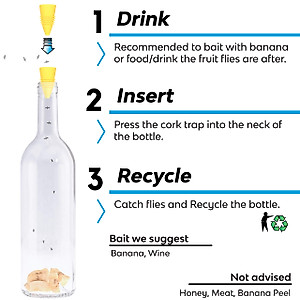 Fly-On-In, Fruit Fly Bottle Top Trap – Reusable Non-Toxic Indoor/Outdoor Catcher (Yellow, 2 pcs)