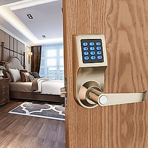 HENYIN Digital Door Lock,Unlock with M1 Card, Code and Key,Handle Direction Reversible (Card+Remote)