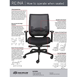 Oak Hollow Furniture Reina Series Office Chair Ergonomic Executive Computer Chair with Breathable Fabric Seat Cushion and Mesh Back, Adjustable and Comfortable, Lumbar Support, Swivel and Tilt