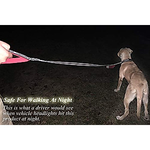 VIVAGLORY Dog Training Leash with 2 Padded Handles, Heavy Duty 6ft Long Reflective Safety Leash Walking Lead for Medium to Large Dogs, Black