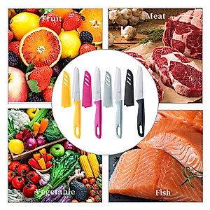 COKUMA Paring Knife, 4PCS Paring Knife Set with Knife Sheaths, 3.7 inch Stainless Steel Pairing Knife, Ultra Sharp Small Kitchen Vegetable Fruit Knives, Dishwasher Safe (4 Colors)