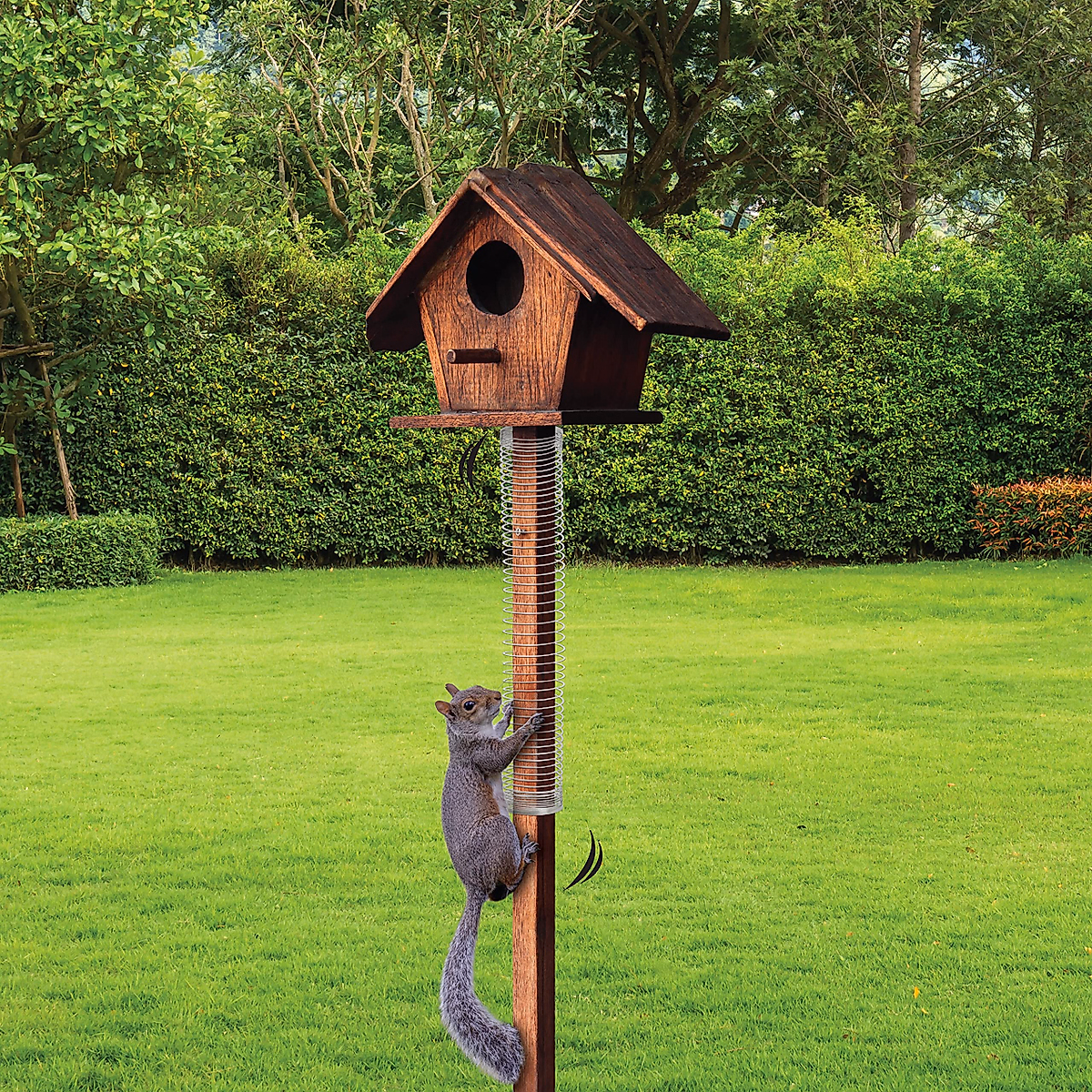 Scram, Squirrel by Slinky, Squirrel-Proof Bird Feeder Accessory that Guards Bird Seed, Kids Toys for Ages 5 Up by Just Play