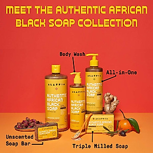 Alaffia Authentic African Black Soap Variety 2-Pack – All-In-One Liquid Soap, Travel-Size Eucalyptus Tea Tree + Full-Size Citrus Ginger Body Wash, Face Wash, Shampoo, Shaving Soap