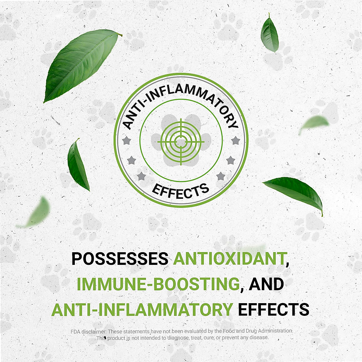 Lion's Respiratory | Natural Herbal Dietary Supplement for Cats | Healthy Respiratory System Support in Cats | Alcohol-Free Extract, Coltsfoot, Licorice, Lobelia, Echinacea Root, Mullein Leaf 2 oz