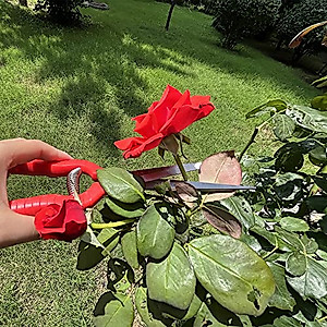 Extra Long Garden Scissors Gardening Tools Micro-Tip Pruning Shears, Non-Stick Precision-ground Blades, 9.6” Sharp Plant Fruit Trees Bonsai Sharp Garden Scissors