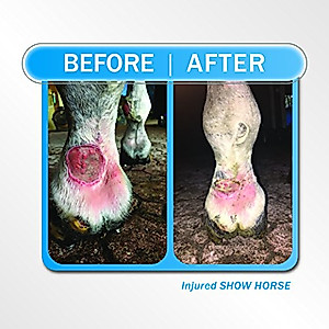 Champion Shield Silver Liquid Bandage, 4oz Gel Spray for Equine and Large Animal Wound Care, Woman Owned Small Business, Made in The USA