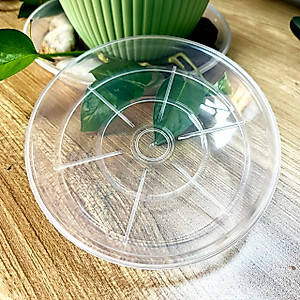 NIMYAU Clear Plant Saucer 6 Pack 4 6 7 8 10 12 14 16 inch, Heavy Duty Plastic Plant Tray Saucers for Indoors Outdoors, Plant Drainage Tray, Flower Planter Water Drip Trays for Pot (6", Clear)