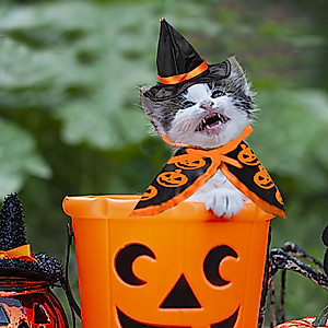 Halloween Cat Costume Cloak Witch Hat Pet Accessories Halloween Adjustable Pumpkin Pet Costume Clothes Set, Halloween Pet Costume Decor Cloak for Cats Dogs Animal Halloween Carnival Party Supplies