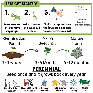 Flawn Seed Kits Micro Clover Seed, Organic Coated, Eco-Friendly, Low Growing, Low Maintenance, Lawn Alternative, Compostable Pouch, Over-Seed up to 500 sqft