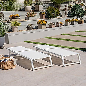 2-Piece White Contemporary Aluminum Outdoor Furniture Patio Lounger Set