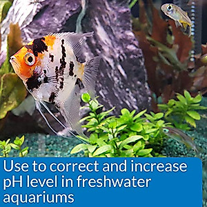 Aquarium Pharmaceuticals 31C pH Up Aquarium pH Adjuster, 4 oz.