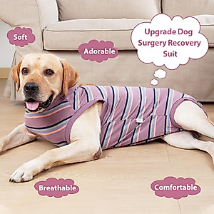 Coppthinktu Dog Recovery Suit Dog Surgery Recovery Suit Female, Dog Onesies Dog Surgical Recovery Suit for Small Medium Large Dogs, Pet Recovery Shirt Post Spay Abdominal Wounds (XX-Large)