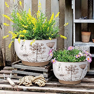 YBX 8 Inch + 6 Inch White&Terracotta Flower Pots, Succulent Ceramic Plant Pots with Drainage Holes, Terracotta Planters for Indoor Plants